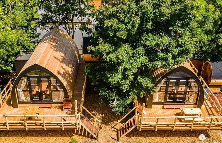 Overnachten in een boomhut in Nederland? De 10 x leukste boomhutten