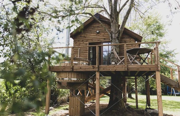 Overnachten in een boomhut in België? De 10 x leukste boomhutten