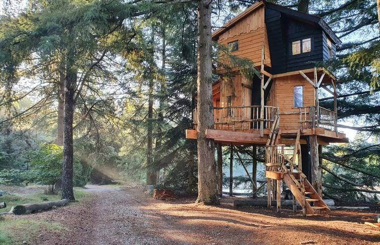 Overnachten in een boomhut in Nederland? De 10 x leukste boomhutten