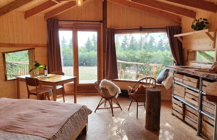 Overnachten in een boomhut in Nederland? De 10 x leukste boomhutten