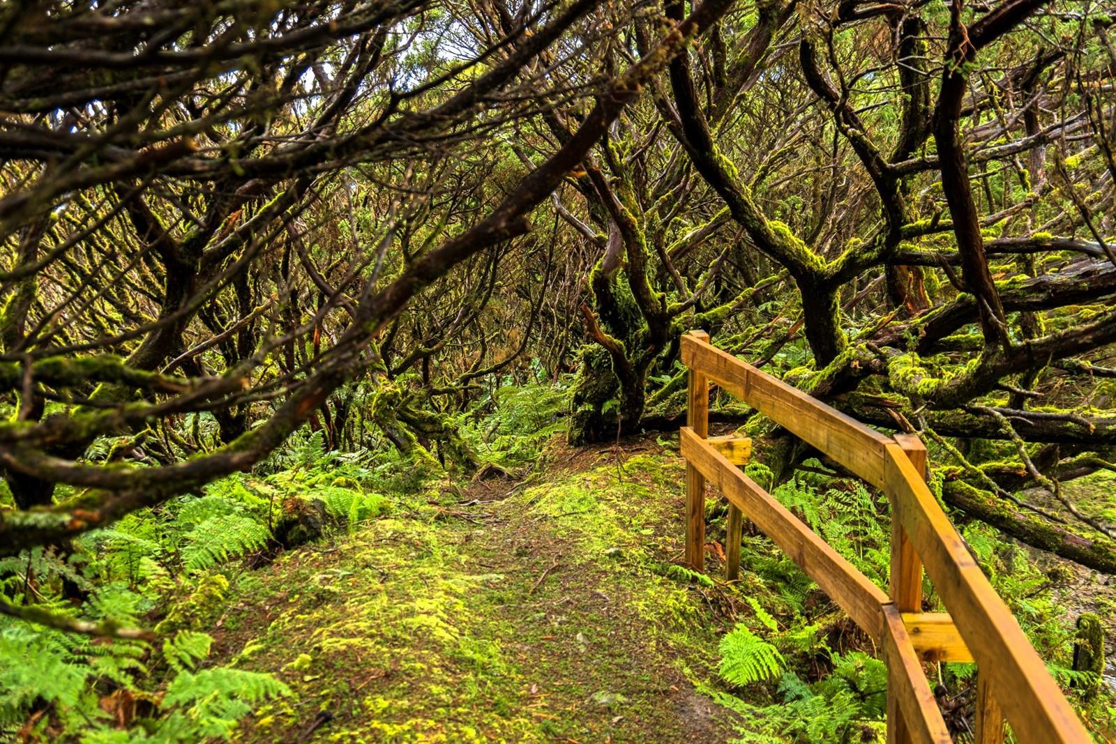 10 x mooiste wandelingen op de Azoren + kaart