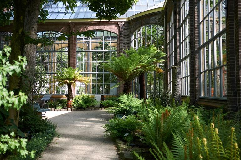 Hortus Botanicus Amsterdam bezoeken? Alle info + tickets