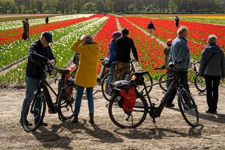 Dé 15 mooiste tulpenvelden & bollenvelden in Nederland 2025