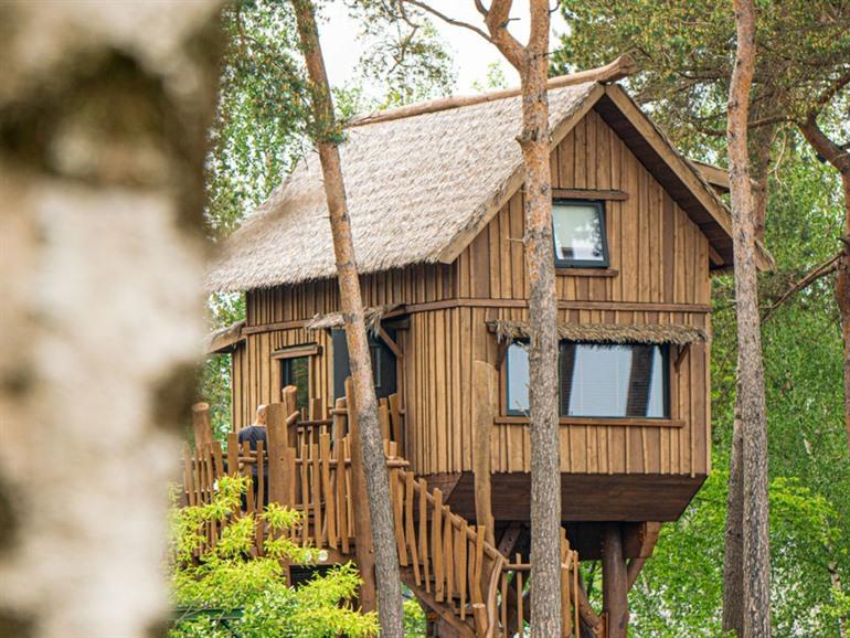 Overnachten in een boomhut in Nederland? De 10 x leukste boomhutten