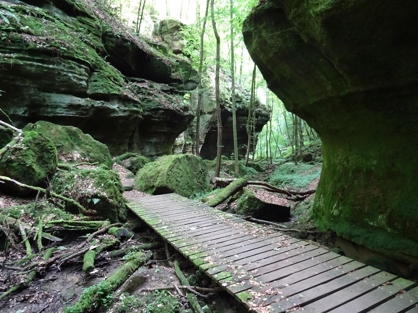 Klein-Zwitserland: luswandeling van Perekop tot Berdorf (6,6 km)